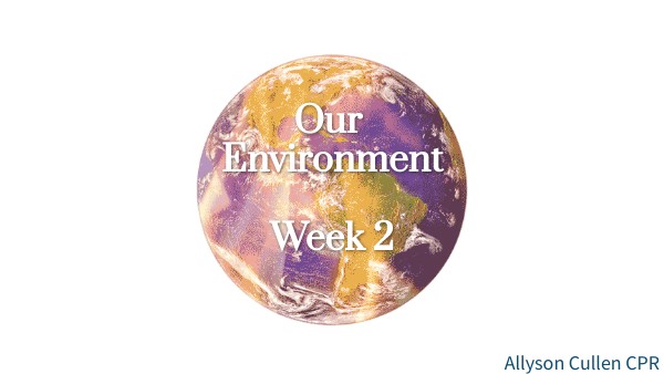 C2 Proficiency Our Environment