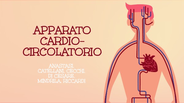 L'apparato cardiocircolatorio