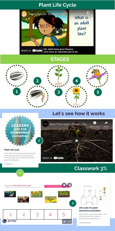 SCIENCE-W3-Q2-Plant Life Cycle | Genially