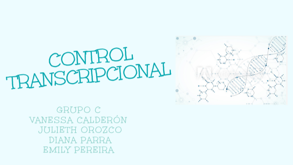 CONTROL TRANSCRIPCIONAL