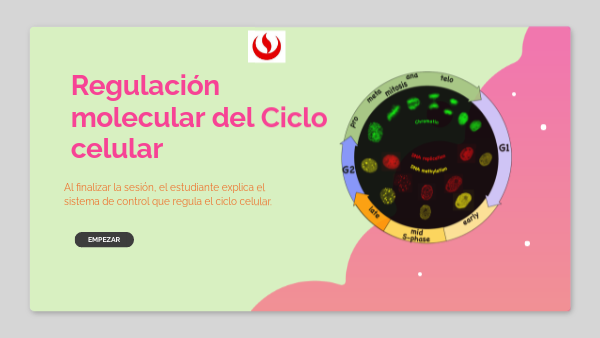 Regulación molecular del Ciclo celular | Genially
