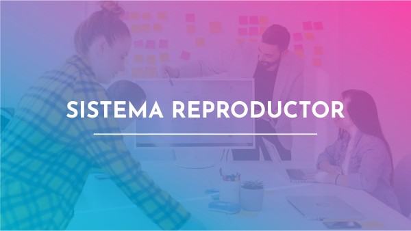 SISTEMA REPRODUCTOR | Genially