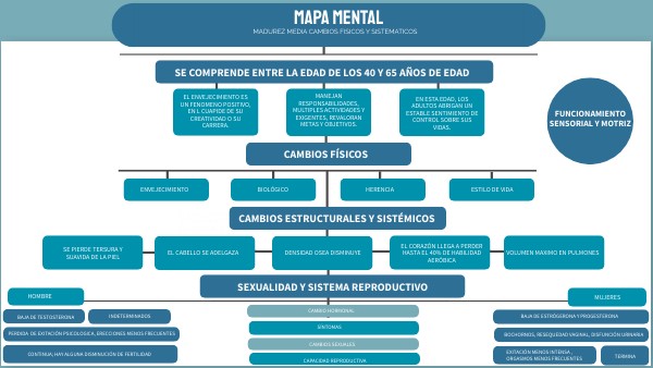 MAPA MENTAL ESQUEMA VERTICAL