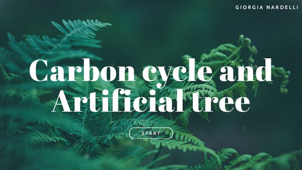 CARBON CYCLE | Genially