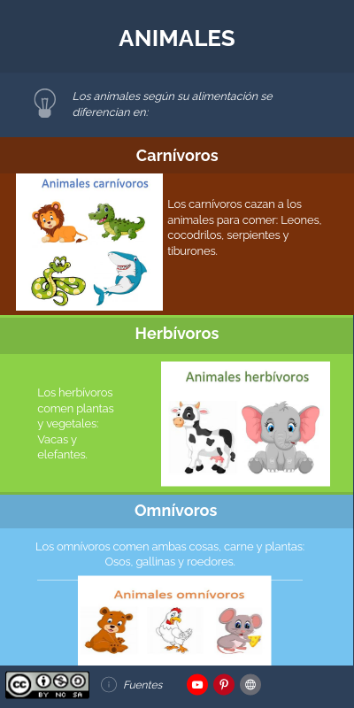 LOS ANIMALES | Genially