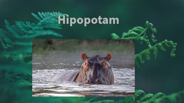 NATURE PRESENTATION | Genially