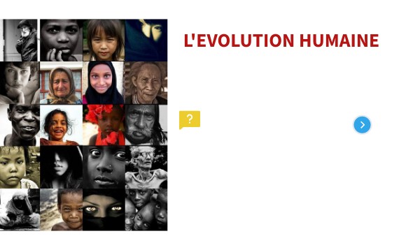 Evolution humaine