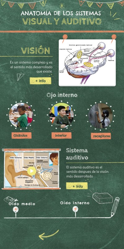 SISTEMA VISUAL Y AUDITIVO | Genially