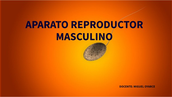 TEMA 3: APARATO EPRODUCTOR MASCULINO | Genially