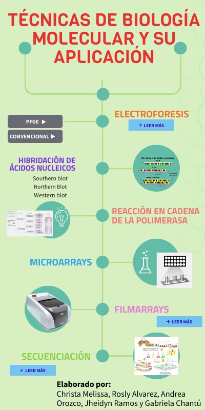 Técnicas de biología molecular y su aplicació | Genially
