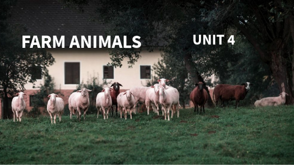 FARM ANIMALS | Genially