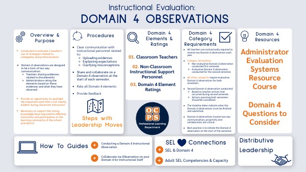Domain 4 Observations