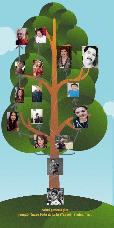 ÁRBOL INTERACTIVO