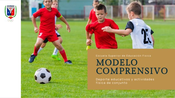 Modelo comprensivo SS