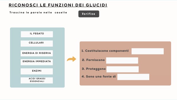 10. Funzioni dei Glucidi