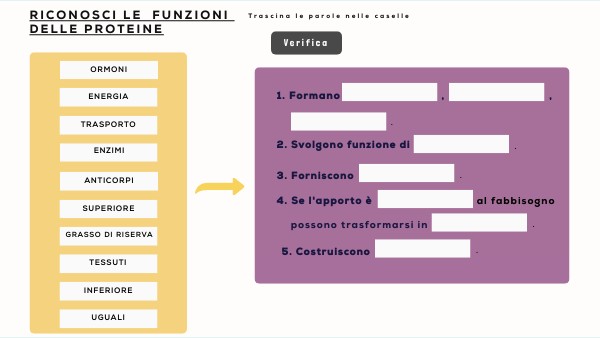 12. Le funzioni delle proteine