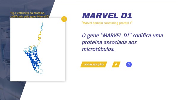 MARVEL D1 | Genially