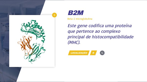 B2M
