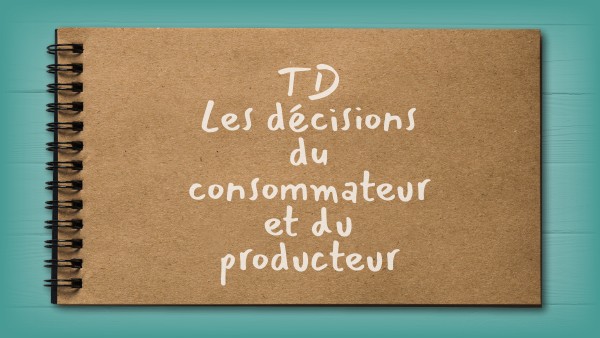 TD Les décisions du consommateur et du producteur | Genially