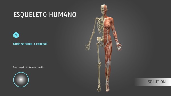 Human_skeleton | Genially