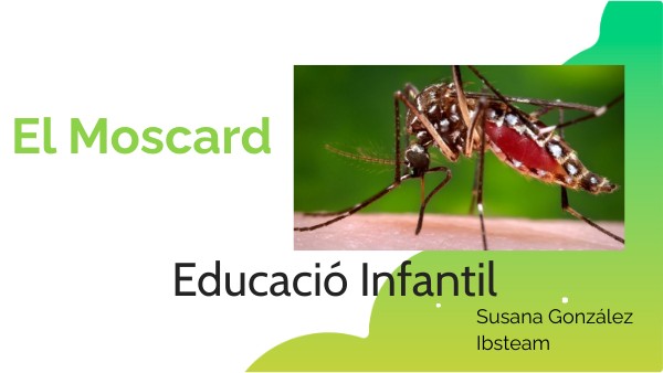 Ibsteam_El Moscard | Genially