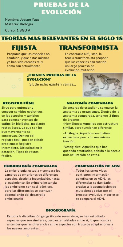 Pruebas de la evolución | Genially