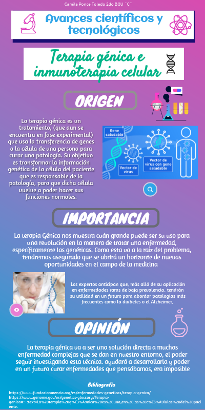 infografia informatica, Camila Ponce | Genially