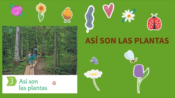 Unidad 3. 2º P. Las Plantas