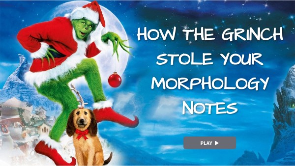 The Grinch Christmas | Genially