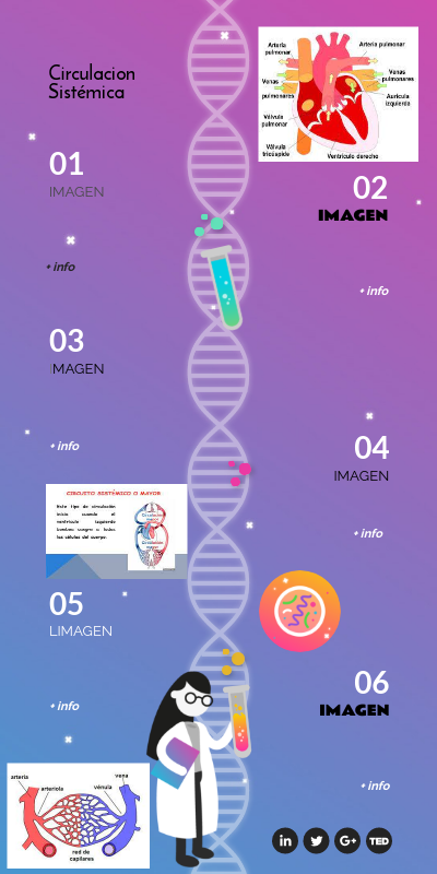 BIOLOGÍA GENIAL VIBRANT