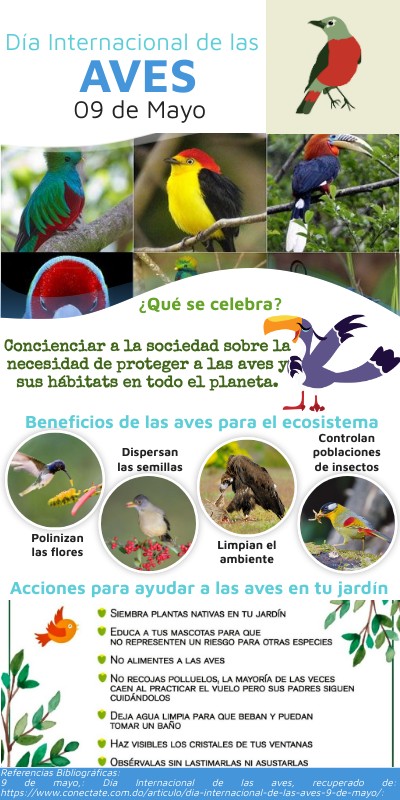Día Internacional de las aves | Genially