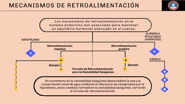 Meca. de retroalimentacion | Genially