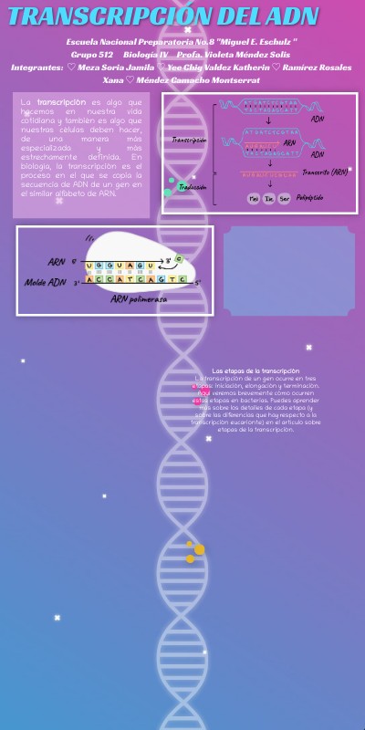 TRANSCRIPCIÓN DEL ADN | Genially