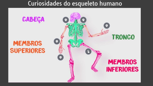 Esqueleto humano | Genially