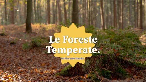 FORESTE TEMPERATE | Genially