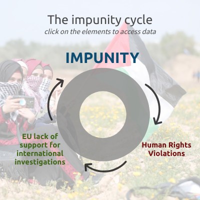 Impunity cycle