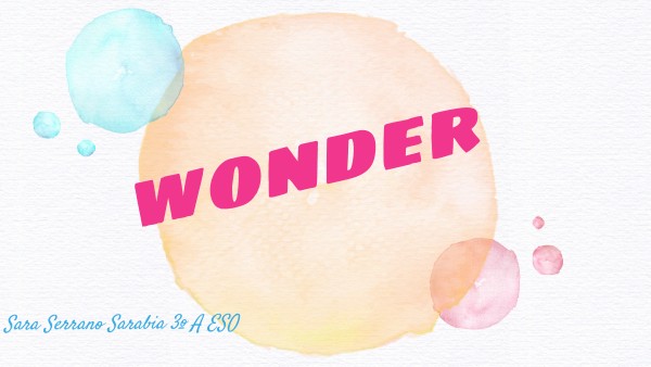 Wonder