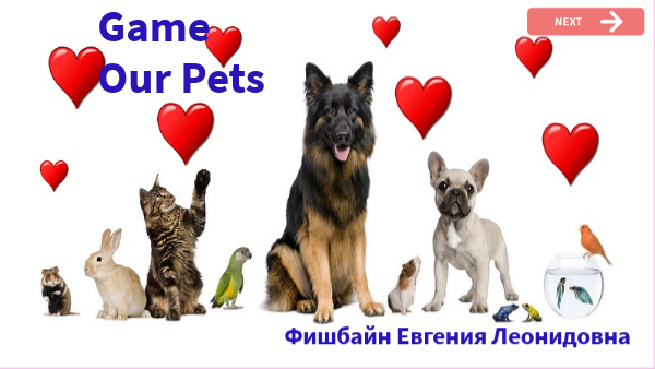 Our Pets | Genially