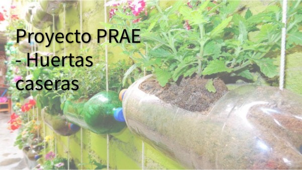 Prae y Hábitos | Genially