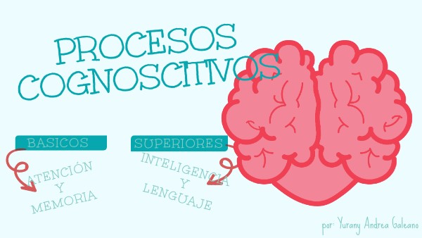 PROCESOS COGNOSCITIVOS BASICOS Y SUPERIORES | Genially