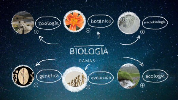 Ramas de la biología | Genially