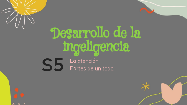 DESARROLLO S5