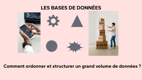 Les bases de données | Genially