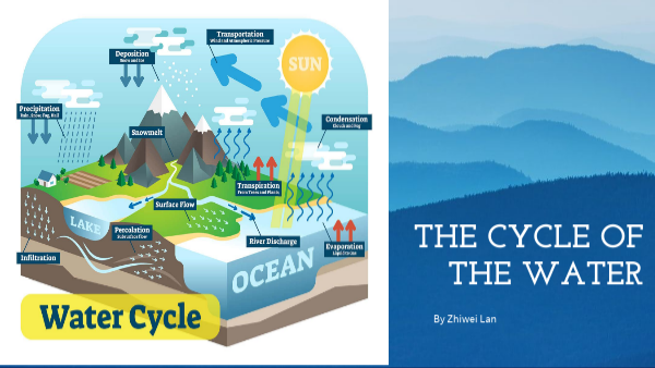 The Water Cycle | Genially