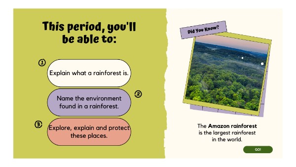 CM2 Rainforests | Genially