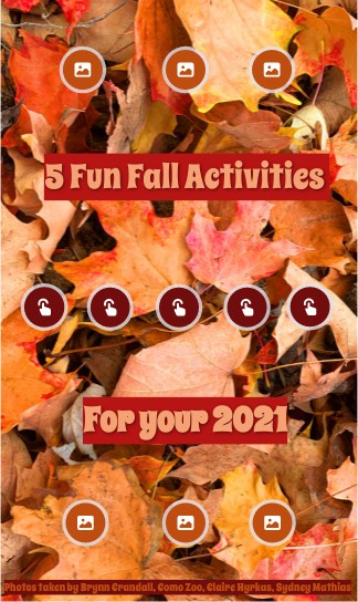 5 Fun Fall Activities