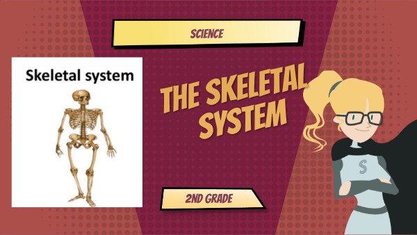 Bones 2nd grade june 03 2nd part | Genially