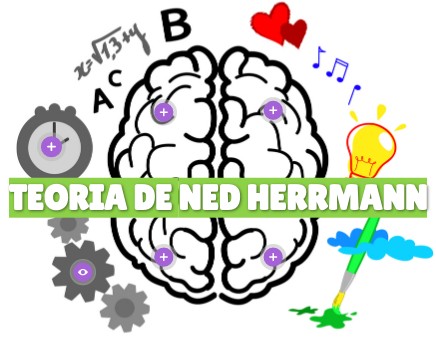 Teoría de Ned Herrmann | Genially
