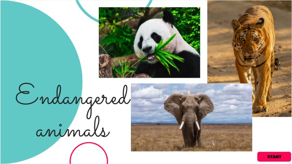 ENDANGERED ANIMALS 5th GRADE - JUNE 7