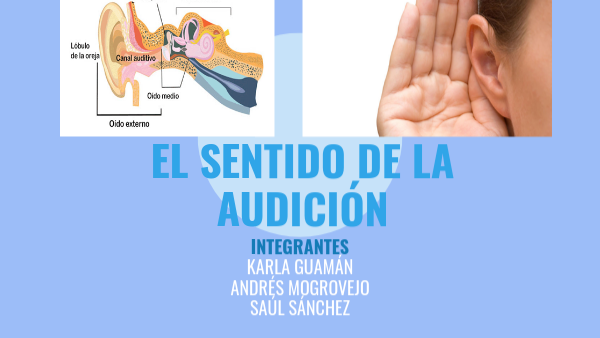 Sentido de la audición | Genially